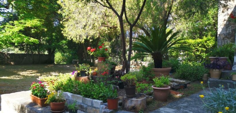 Zadar: Guided Tour to Ugljan, Osljak, & Galevac by Speedboat - Practical Aspects: What to Expect