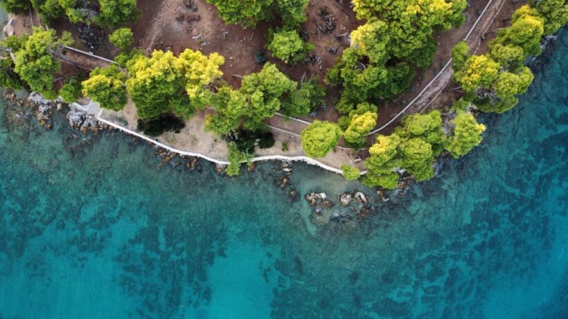 Zadar: Guided Tour to Ugljan, Osljak, & Galevac by Speedboat - Who Is This Tour Best For?