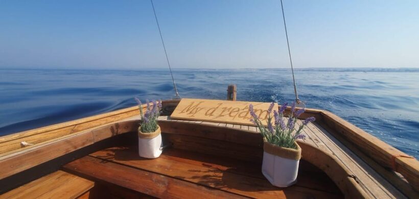 Zadar highlights - Zadar discovery Short tour - An Overview of the Experience