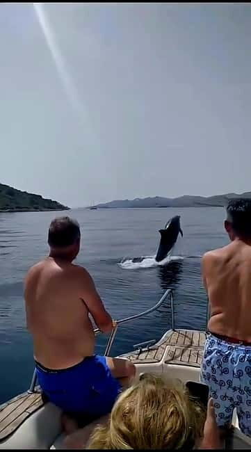 Zadar: Islands & Lagoons Tour with Drinks and ECO fruits... - What to Expect on the Zadar Islands & Lagoons Tour