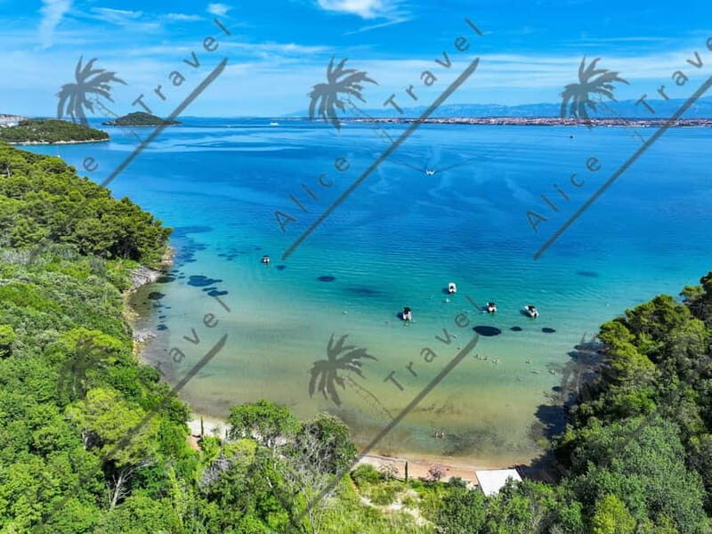 Zadar: Speedboat Escapade 3 stops & Snorkeling & Local Wine - Key Points