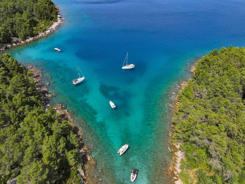 Zadar: Speedboat tour Best of 4 Islands 6 Stops with Lunch! - The Sum Up