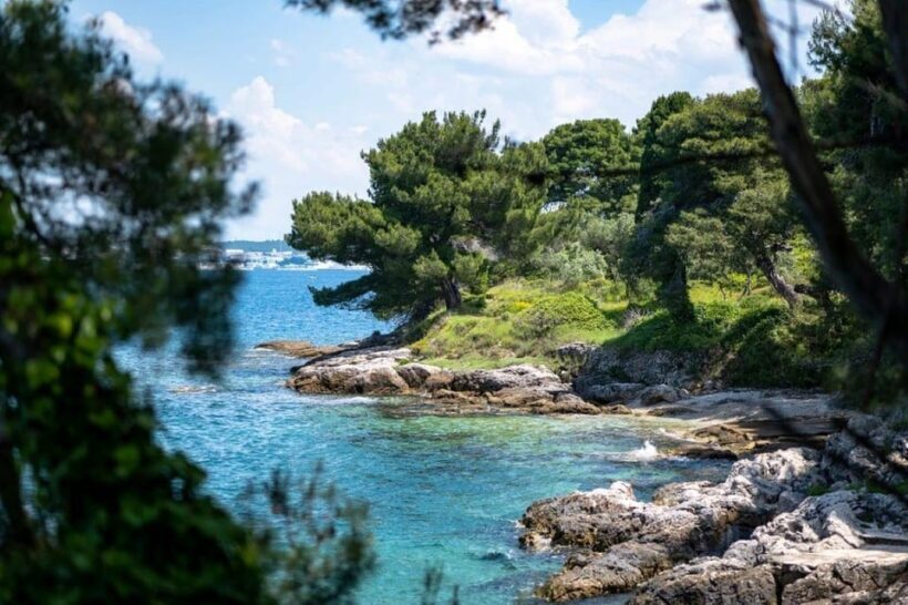 Zadar: Speedboat Tour to 3 Islands with Refreshing Drinks - Authenticity and Overall Value