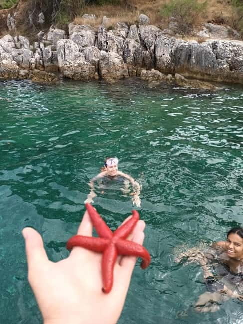 Zadar:Ugljan, Frnaa,Galevac &Oljak free beer & anchovies - Authenticity and Value