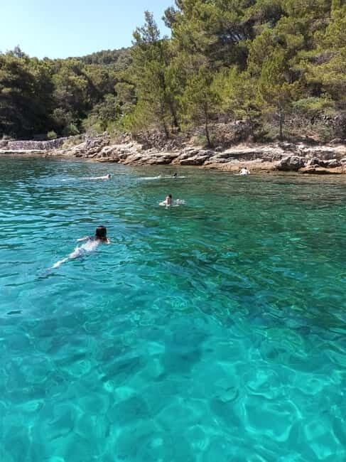 Zadar:Ugljan, Frnaa,Galevac &Oljak free beer & anchovies - Who Will Love This Tour?