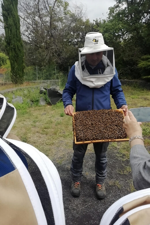 Zafferana Etnea:Honey extraction workshop and honey tasting - What You Need to Know Before Booking