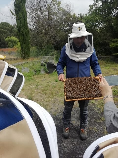 Zafferana Etnea:Honey extraction workshop and honey tasting - Who Will Love This Tour?