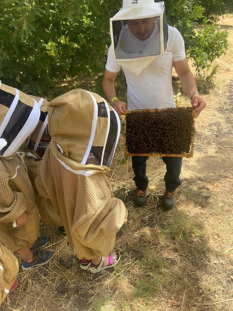 Zafferana Etnea:Honey extraction workshop and honey tasting - Final Thoughts
