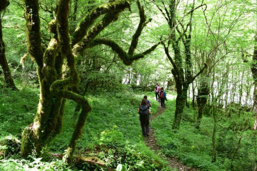 Zagori: Vikos Gorge full-day guided hike - Discovering Vikos Gorge: The Itinerary Breakdown