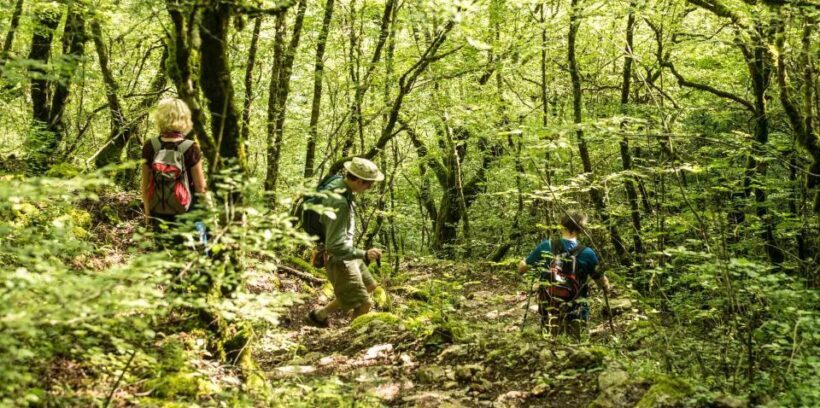 Zagori: Vikos Gorge full-day guided hike - FAQ