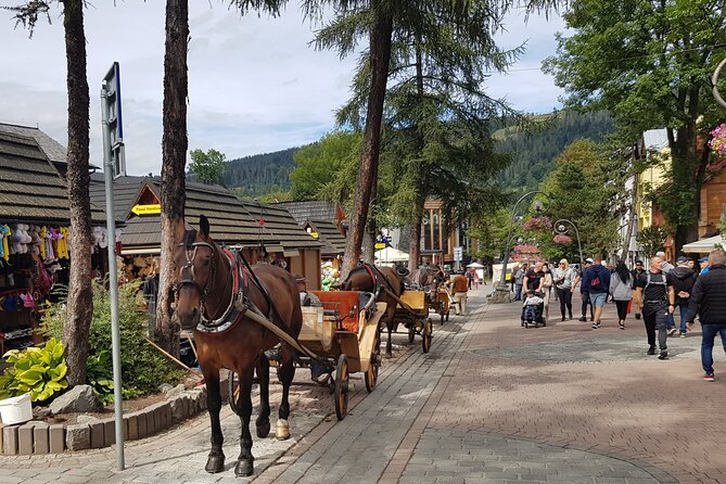 Zakopane and Tatra Mountains from Krakow, private tour - The Sum Up: Who Will Enjoy This Tour?