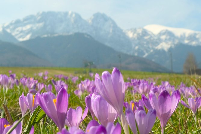 Zakopane and Tatras Mountains Day Tour From Krakow - Krupówki Stroll