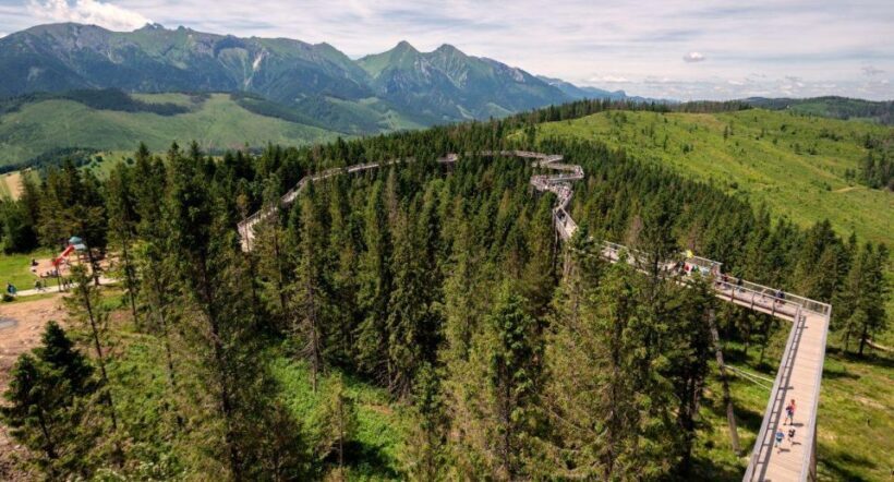Zakopane: Bachledka Treetop Walk and Strbske Pleso Tour - Experience Overview: A Perfect Mix of Nature and Easy Adventure