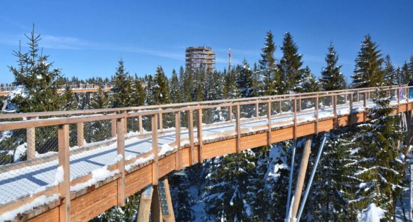 Zakopane: Bachledka Treetop Walk and Strbske Pleso Tour - Practical Details: What You Need to Know