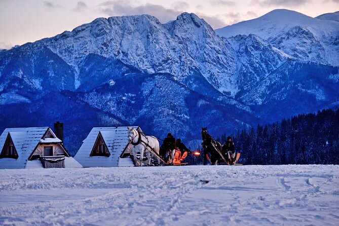 Zakopane Horse-Drawn Rides with Local Guide and Food Tasting - Who Will Love This Tour?