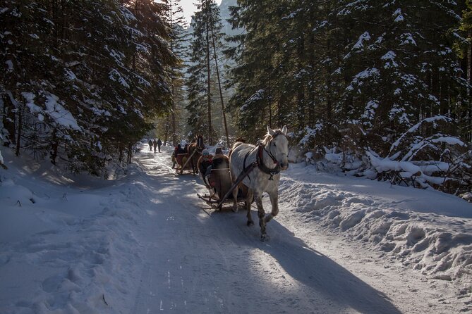 Zakopane Horse-Drawn Rides with Local Guide and Food Tasting - Final Thoughts