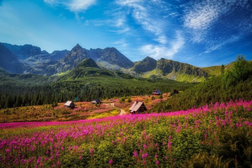 Zakopane: Private City Tour - Introduction