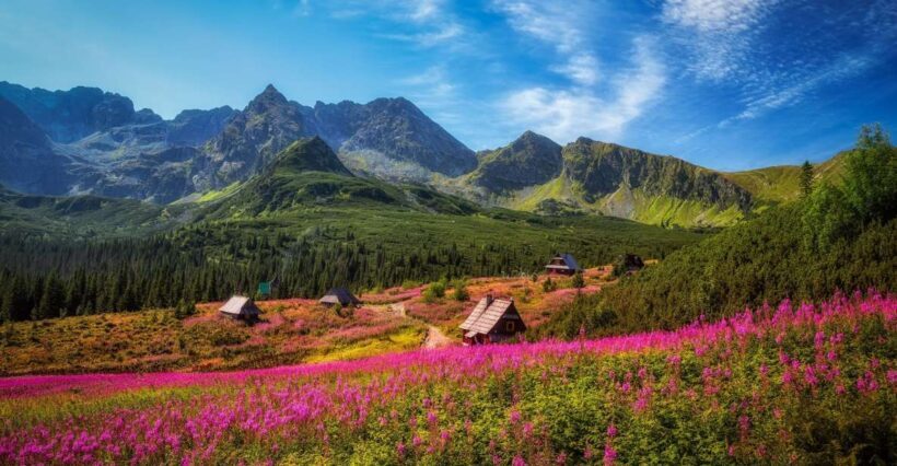 Zakopane: Private City Tour - Exploring Zakopane: A Mountain Town with Soul