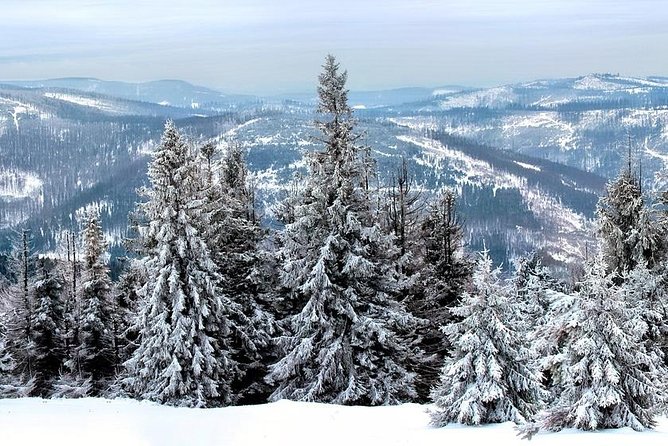 Zakopane Private Tour From Krakow - Pricing and Booking Information