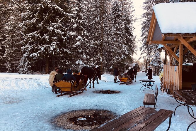 Zakopane & Sleigh Ride with Bonfire - Group Tour from Kraków - FAQ
