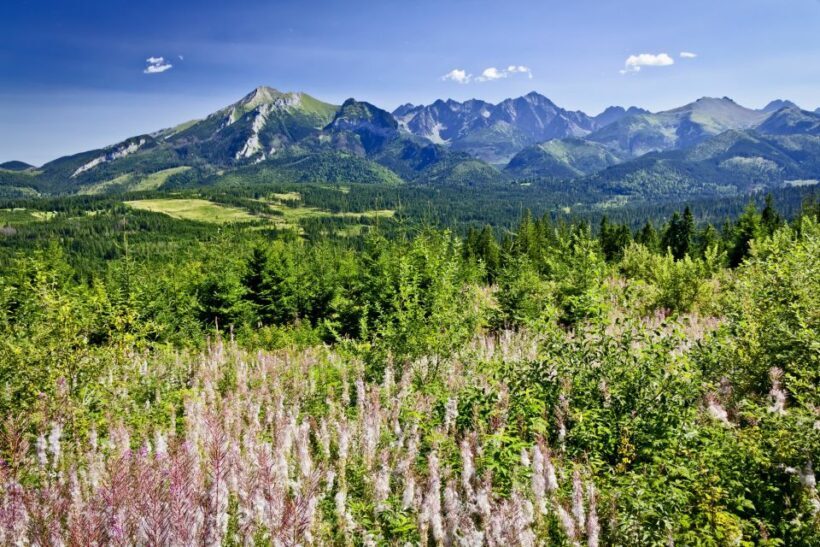 Zakopane: Tatra Mountains Full Day Tour from Krakow - Zakopane: Tatra Mountains Full Day Tour from Krakow — A Practical Guide