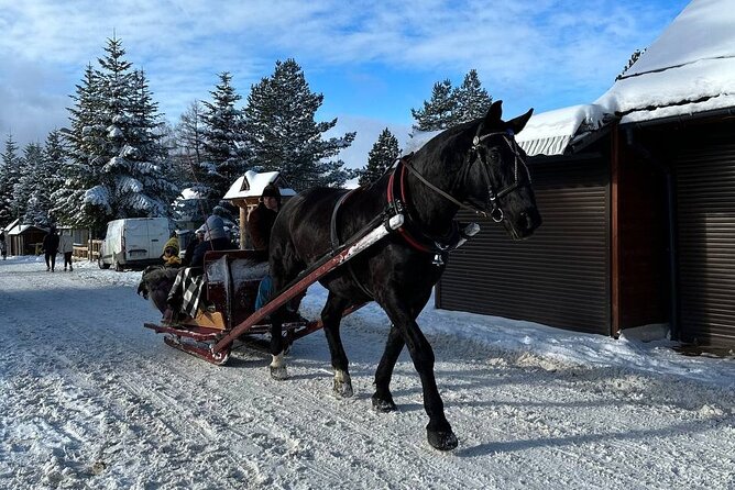 Zakopane Tour from Krakow with Thermal SPA and Hotel Pick up - Practical Considerations