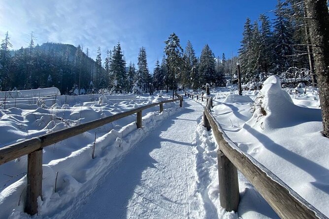 Zakopane Tour from Krakow with Thermal SPA and Hotel Pick up - Who Is This Tour Best Suited For?