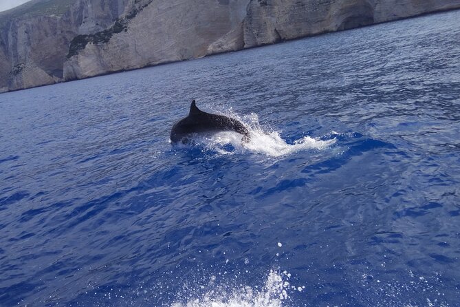 Zakynthos All Day Tour Shipwreck beach, view point-Blue Caves - What We Love About the Experience