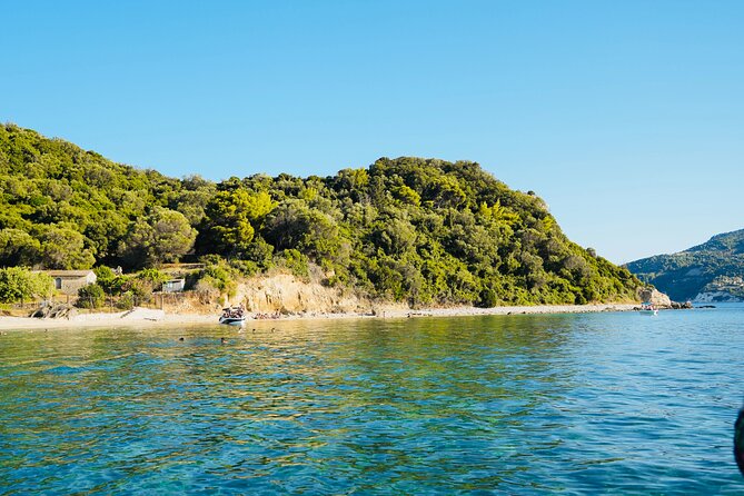 Zakynthos: Glass Bottom Turtle Boat Tour to Keri Caves & Islands - Review Analysis: What Past Travelers Have to Say