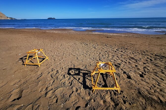 Zakynthos: Marathonisi, Cameo Island and Keri Caves Tour - Marathonisi (Turtle Island)