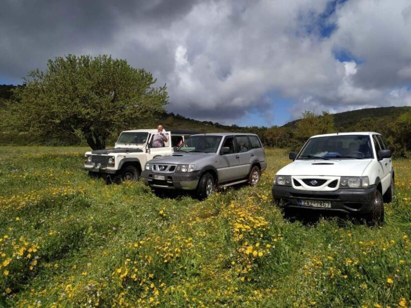 Zakynthos: Off-Road Jeep Tour - Practical Considerations