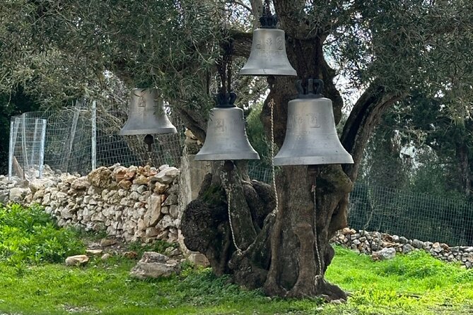 Zakynthos Premium 4x4 Island Experience - Detailed Breakdown of the Itinerary: What to Expect at Each Stop