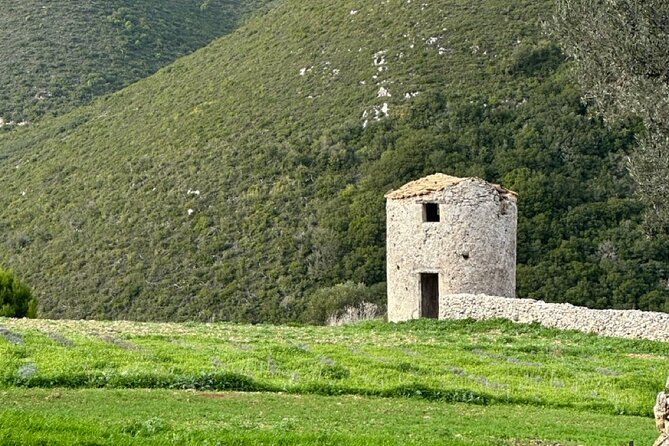 Zakynthos Premium 4x4 Island Experience - Who Should Consider This Tour?