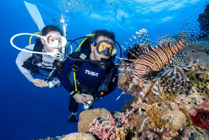 Zakynthos: Scuba Diving Experience with Underwater Photos - Key Points