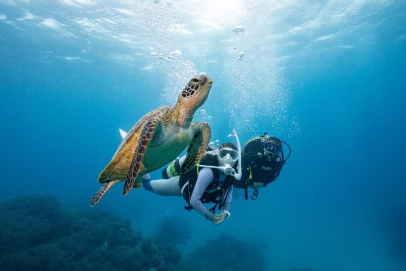 Zakynthos: Scuba Diving Experience with Underwater Photos - The Itinerary: What to Expect from Start to Finish