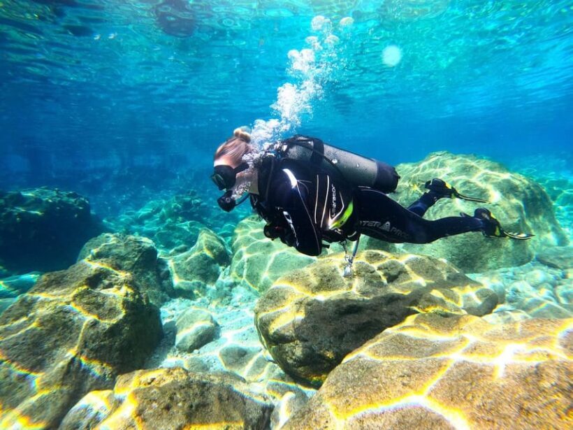 Zakynthos: Scuba Diving Experience with Underwater Photos - The Ideal Traveler for This Tour