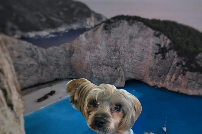 Zakynthos Small Group Tour Review - The Sum Up