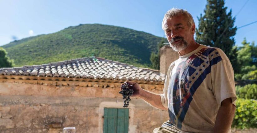 Zakynthos: Vineyard & Winery Tour with Local Winemaker - The Sum Up