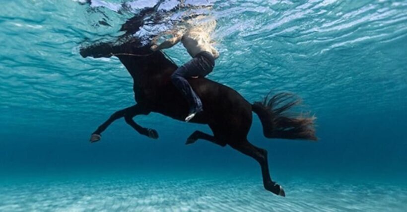 Zakynthos: Yotomu Horseback Riding Tour - Exploring the Yotomu Horseback Riding Tour