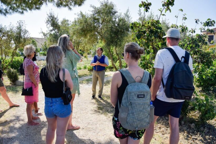 Zante: Half-Day Tour to Navagio, Blue Caves & White Beach - Who Should Consider This Tour?