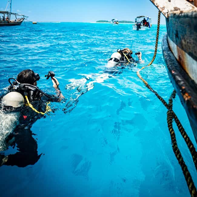 Zanzibar: 2-Day PADI Dive Into Paradise on a Scuba Tour - An Authentic Dive into Zanzibar’s Underwater World