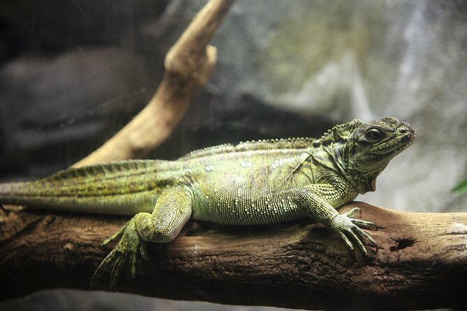 Zaragoza Aquarium Admission Ticket Review - About Your Stay