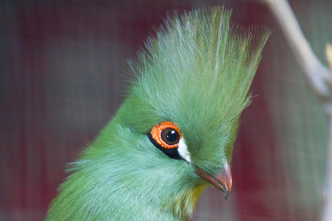 Zaragoza Aquarium Admission Ticket Review - Animal Species and Exhibits