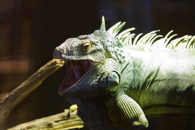 Zaragoza Aquarium Admission Ticket Review - Highlights of the Visitor Experience