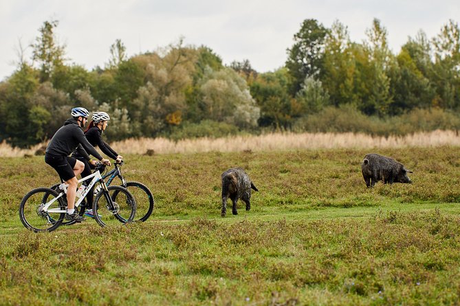 Zasavica Bike Tour - An Introduction to the Zasavica Bike Tour