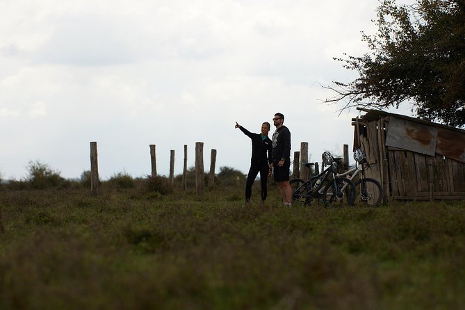 Zasavica Bike Tour - Analyzing the Value