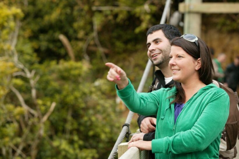 Zealandia by Day Tour - The Experience After the Walk