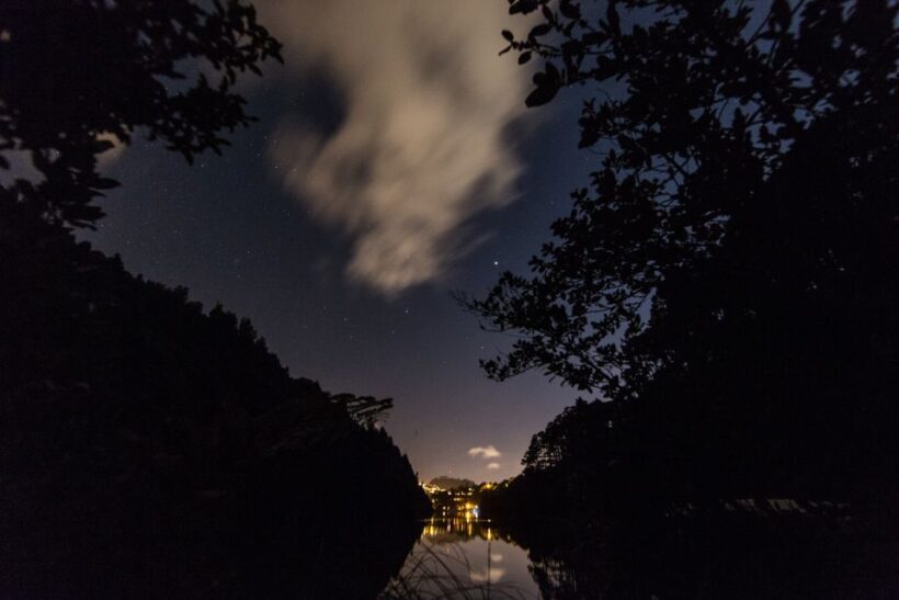 Zealandia by Night Tour - Key Points