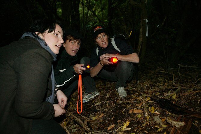 Zealandia Small Group Eco Wildlife Night Tour - How the Tour Is Structured