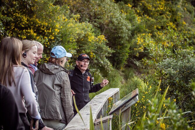 Zealandia - Twilight Guided Eco Wildlife Tour - Final Thoughts